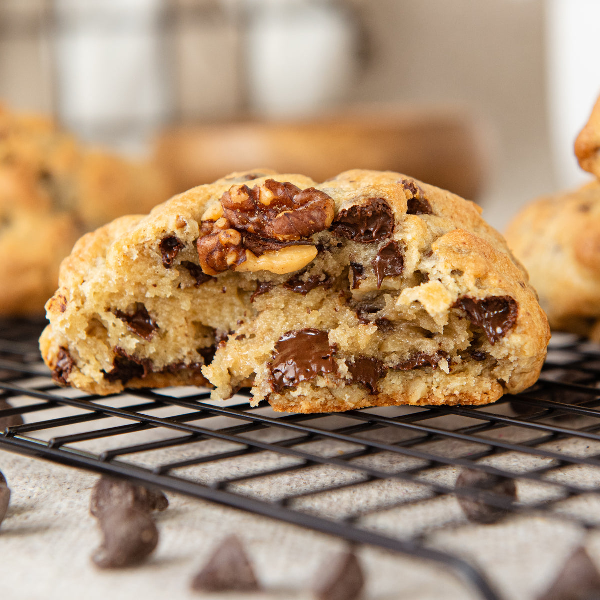 Chocolate Chip Walnut – Half Baked Cookies